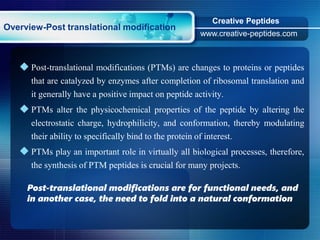 Post translational-modification-creative-peptides | PPT
