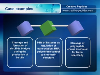 Post translational-modification-creative-peptides | PPT