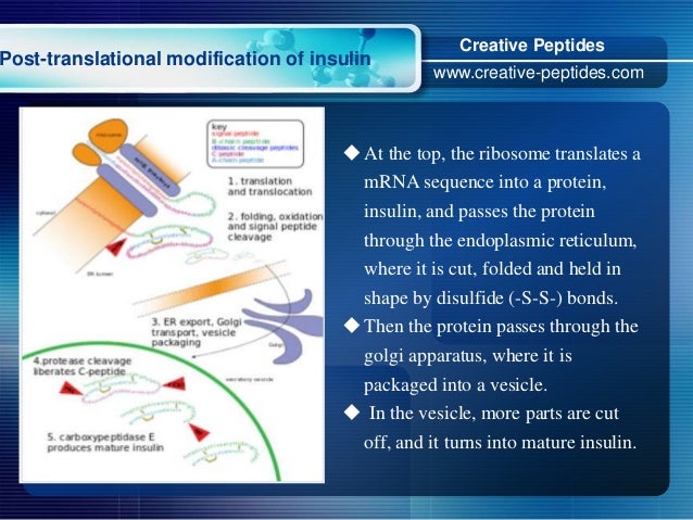 Post translational-modification-creative-peptides