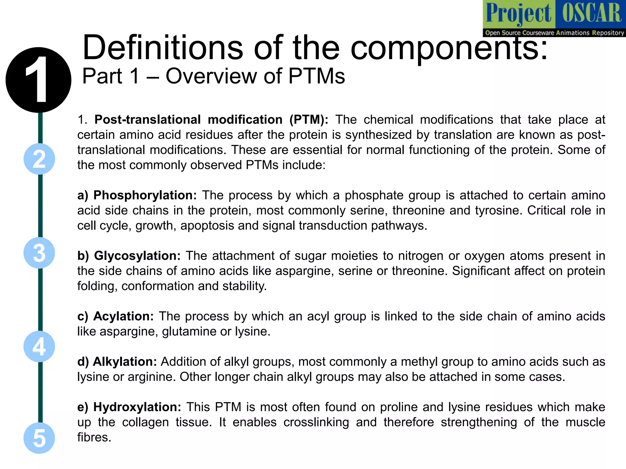 Post Translational Modification Pptx