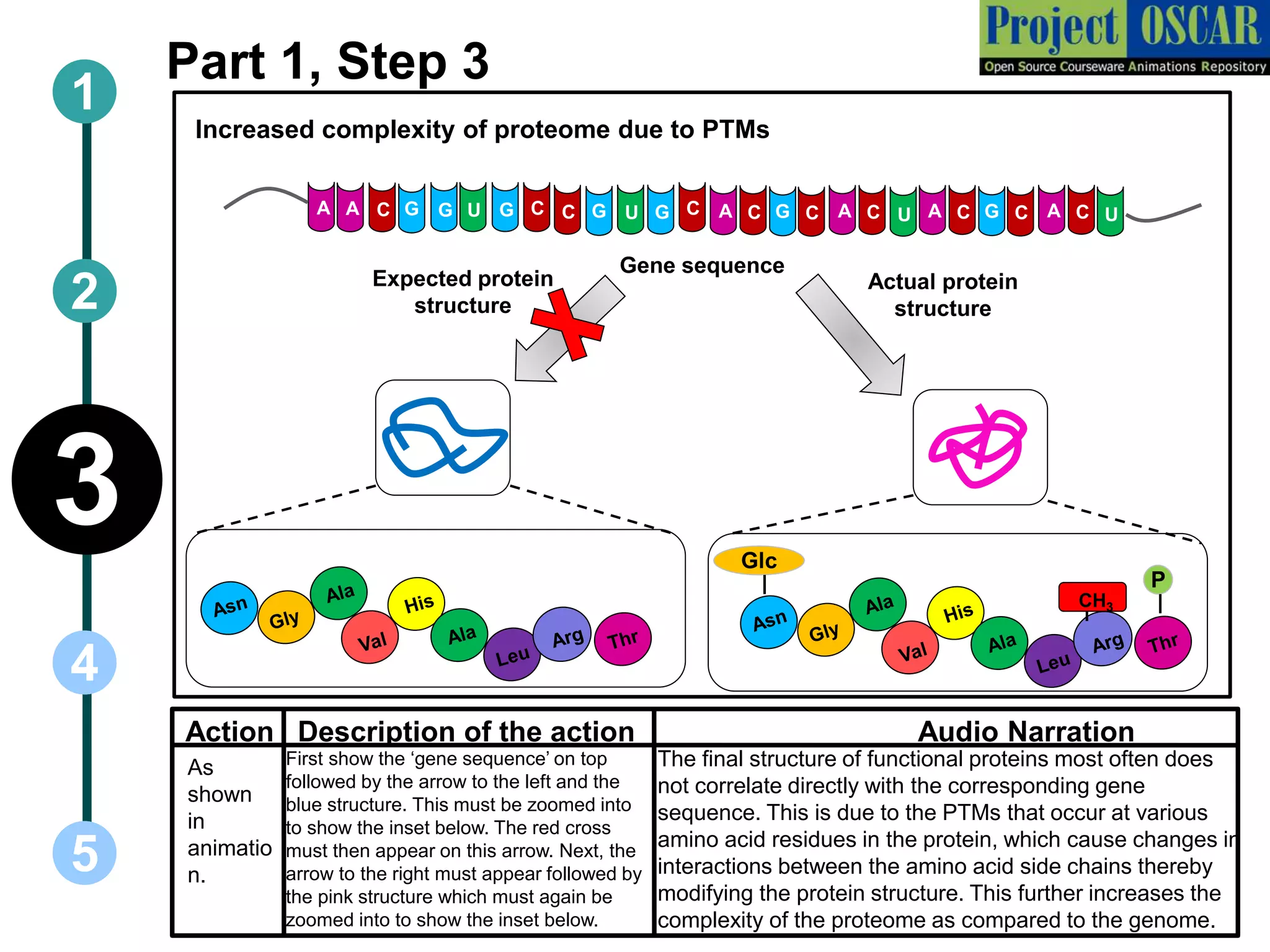Post Translational Modification Pptx
