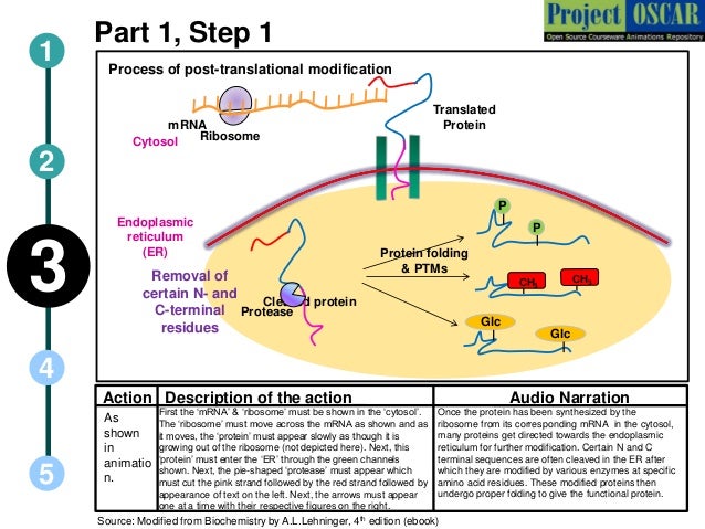 Post translational modification
