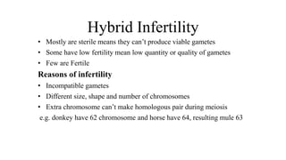 Post zygotic isolation:Hybrid infertility and viability | PPTX ...