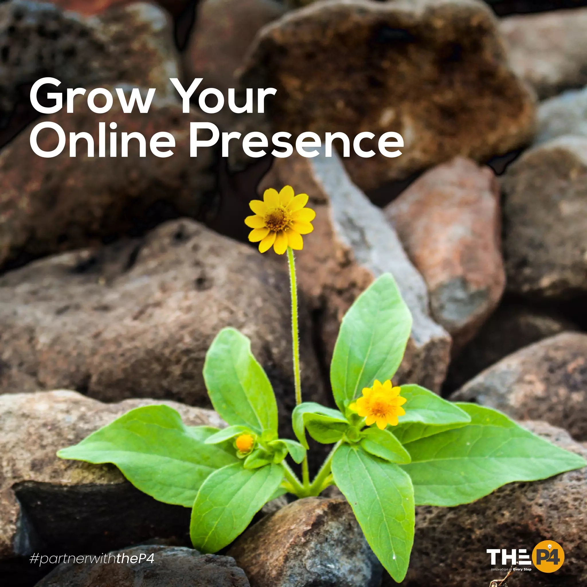 Grow your online presence | PDF | Online Education | Education