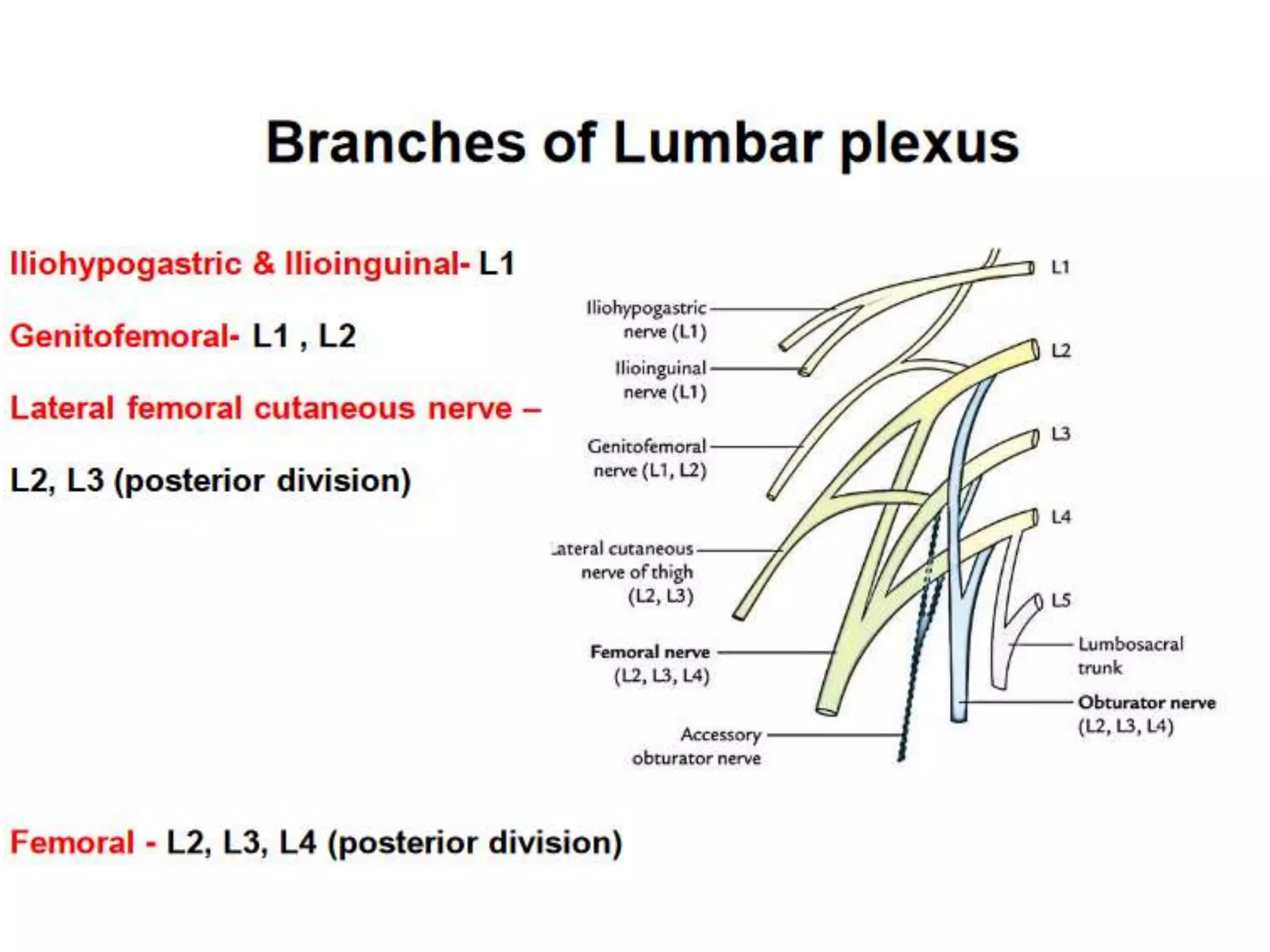 POST ABD WALL PPT.ppt