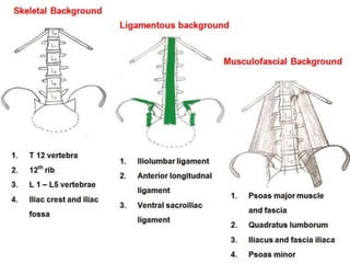 POST ABD WALL PPT.ppt