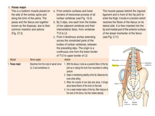 POST ABD WALL PPT.ppt
