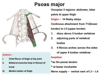 POST ABD WALL PPT.ppt