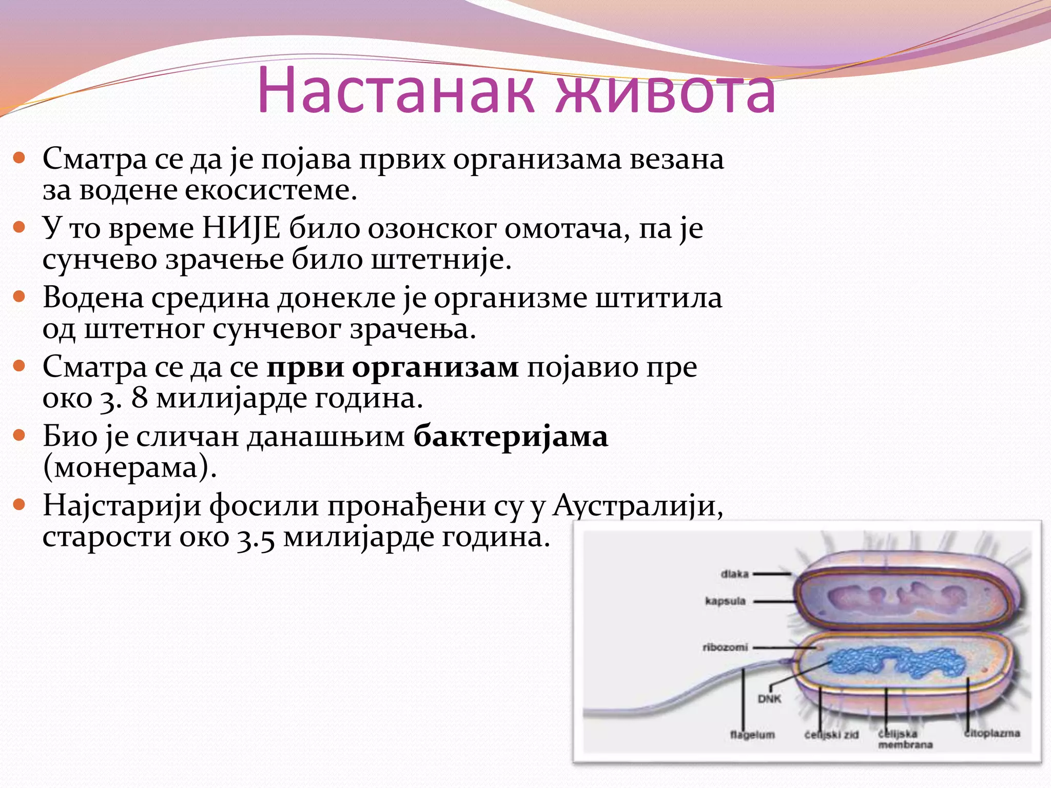 Postanak zivota | PPT