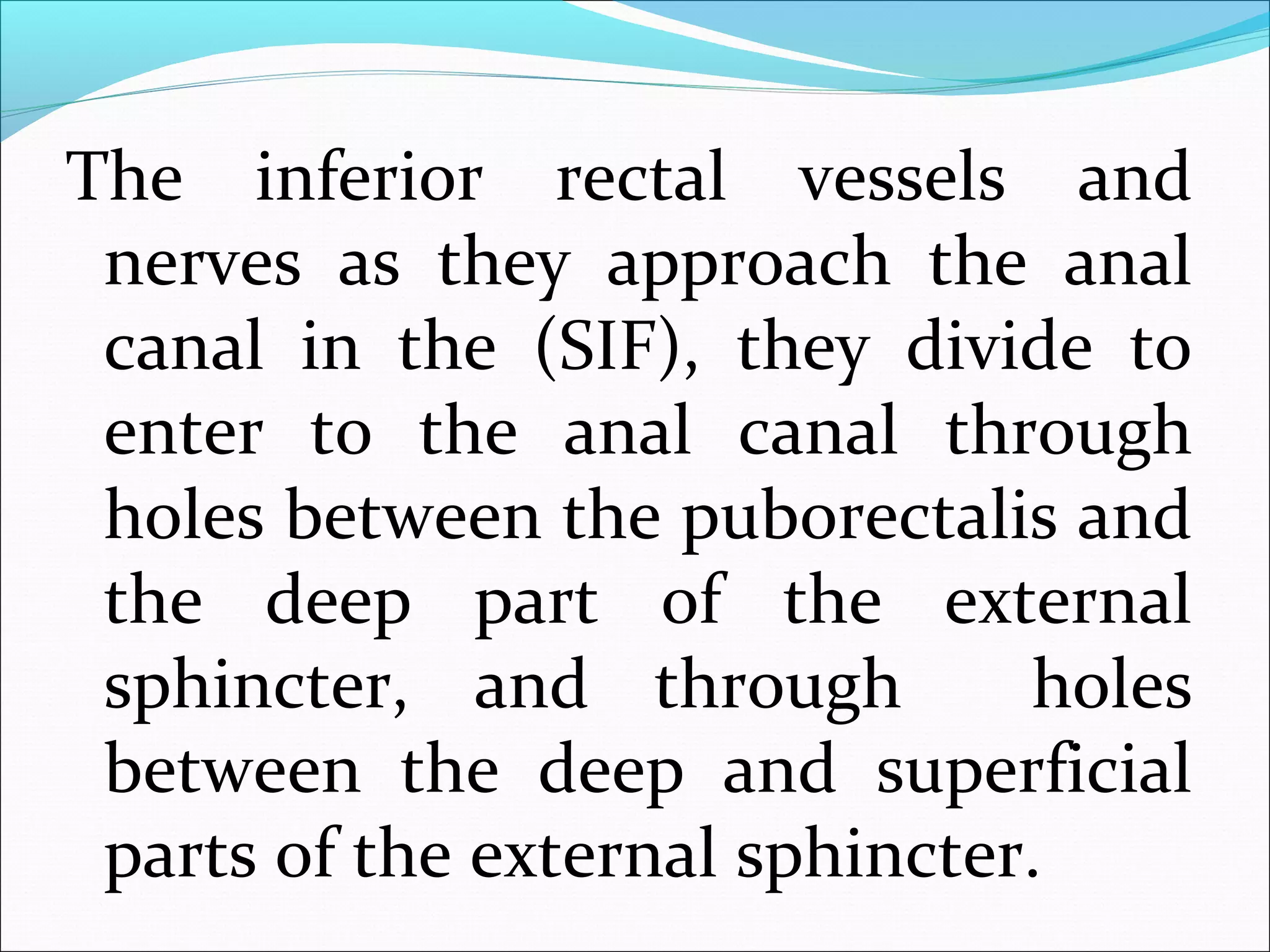 Postanal space fistula | PPT