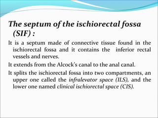 Postanal space fistula | PPT