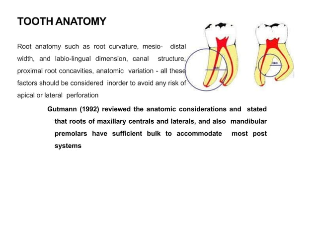 Post and core | PPTX | Dental Health | Diseases and Conditions