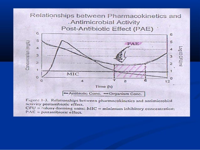 Post antibiotic effect 2