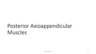 post axioappendicular muscles, upper limb.pptx