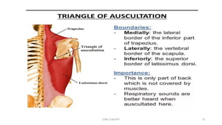 post axioappendicular muscles, upper limb.pptx