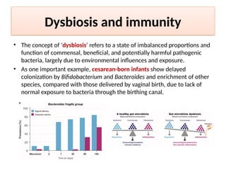 Postbiotics and their therapetic properties | PPTX