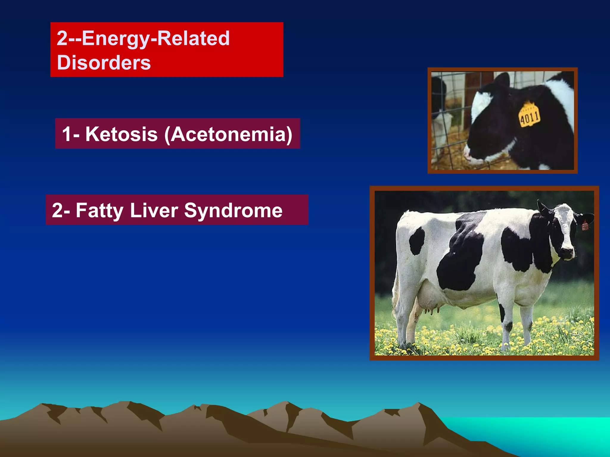Post calving problems in dairy farms prof.hamed attia | PDF