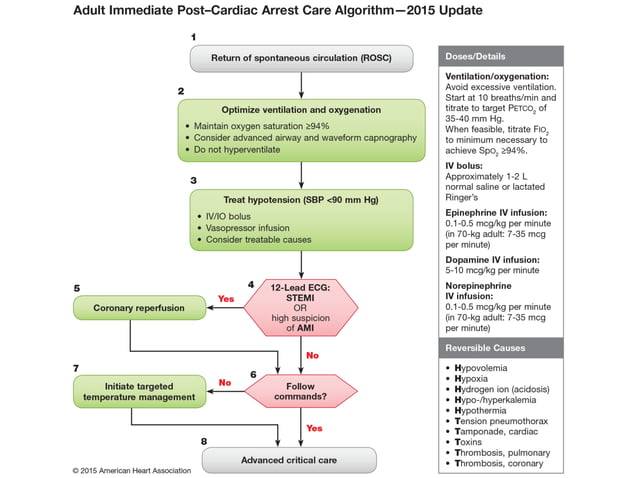Post–Cardiac Arrest Care | PDF | Heart and Cardiovascular Diseases ...