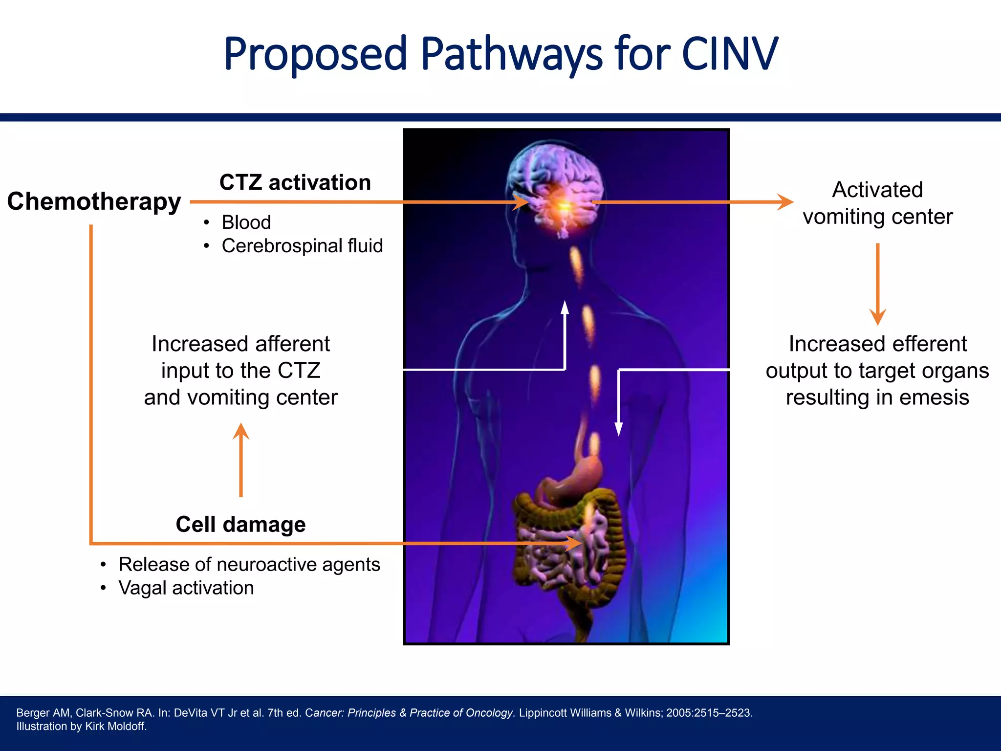 Post chemotherapy care ver 1.0 | PPTX