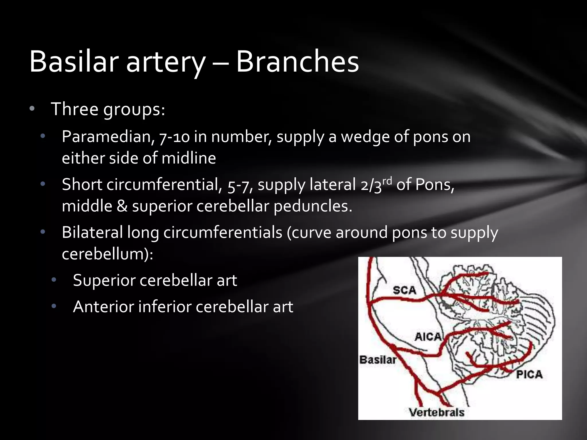 Posterior circulation - Applied Anatomy | PPTX