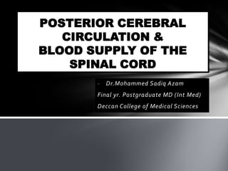 Posterior circulation - Applied Anatomy | PPTX