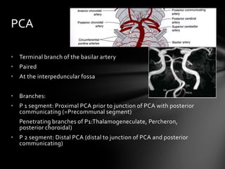 Posterior circulation - Applied Anatomy | PPTX