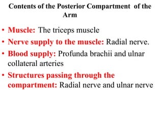 Post compartment of arm | PPTX