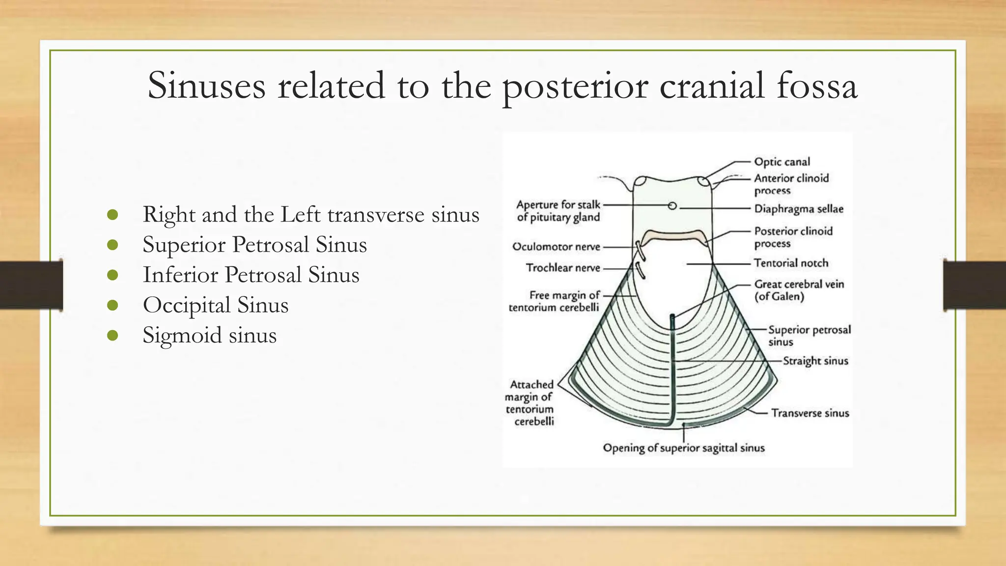 Post cranial fossa seminar power point presentation | PPT | Free Download