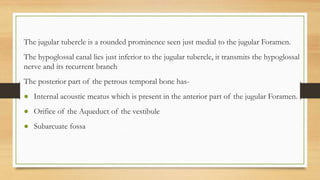 Post cranial fossa seminar power point presentation | PPT