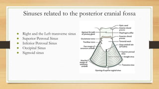 Post cranial fossa seminar power point presentation | PPT