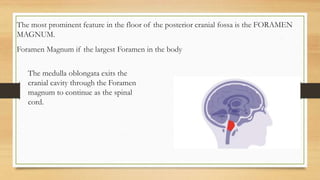 Post cranial fossa seminar power point presentation | PPT