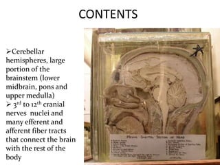 Post cranial fossa surgery and anesthesia considerations | PPTX