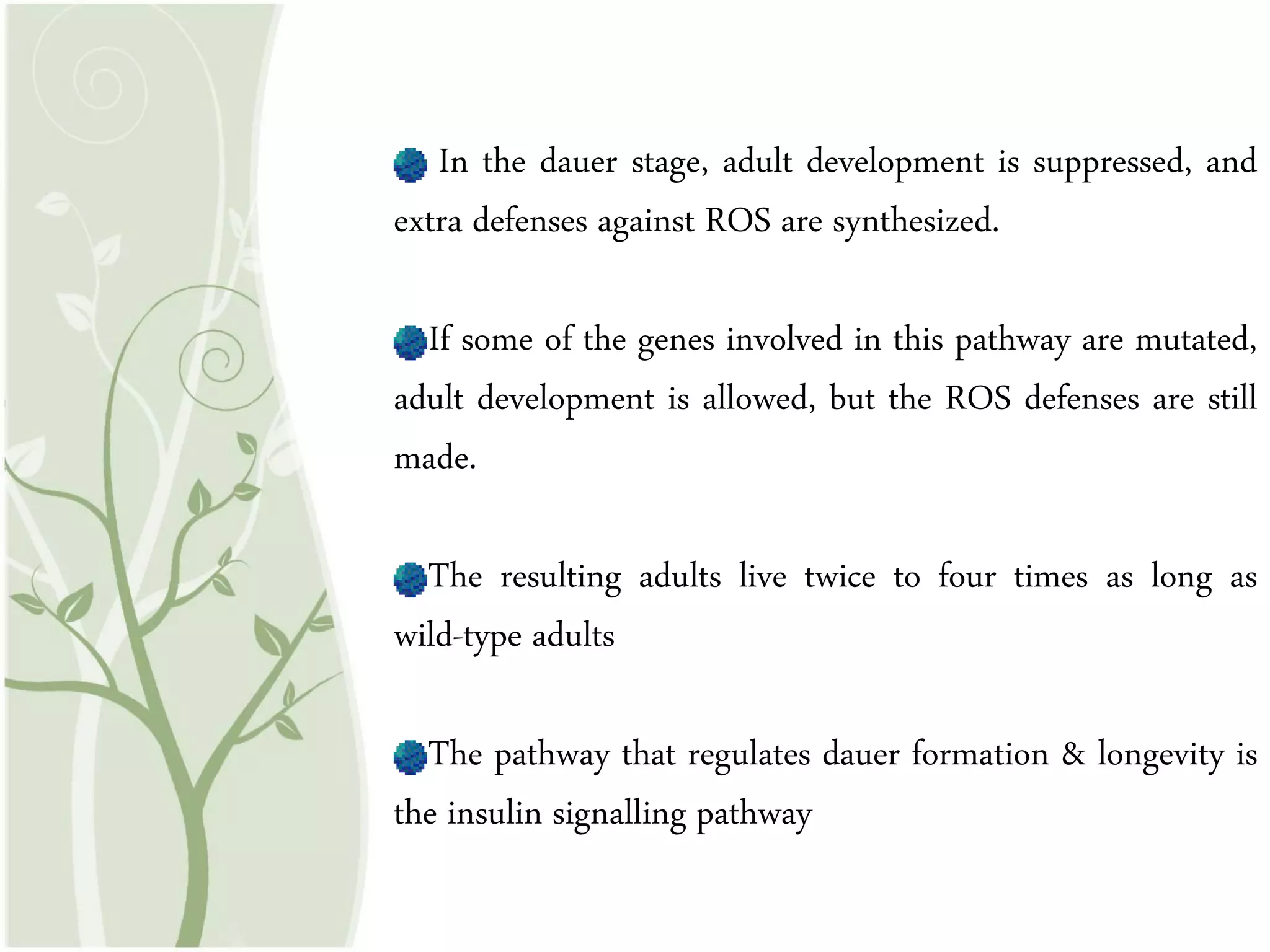 Post embryonic development | PDF