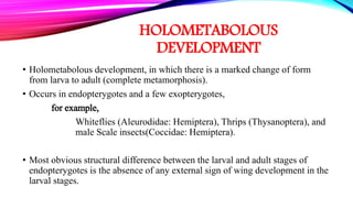 Post embryonic development of insects and metamorphosis | PPTX