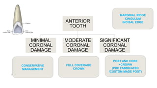 Post endodontic restoration.pptx