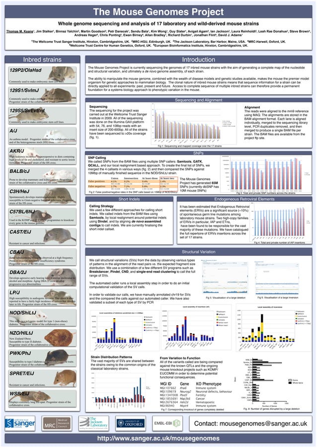 Mouse Genomes Poster - Genetics 2010 | PDF
