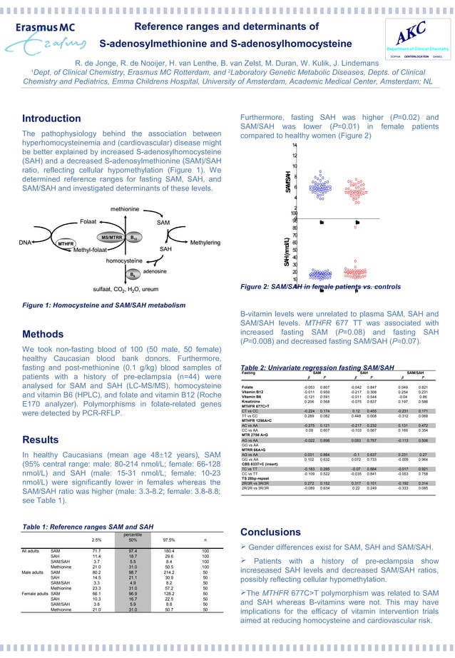 Poster SAM/SAH | PDF