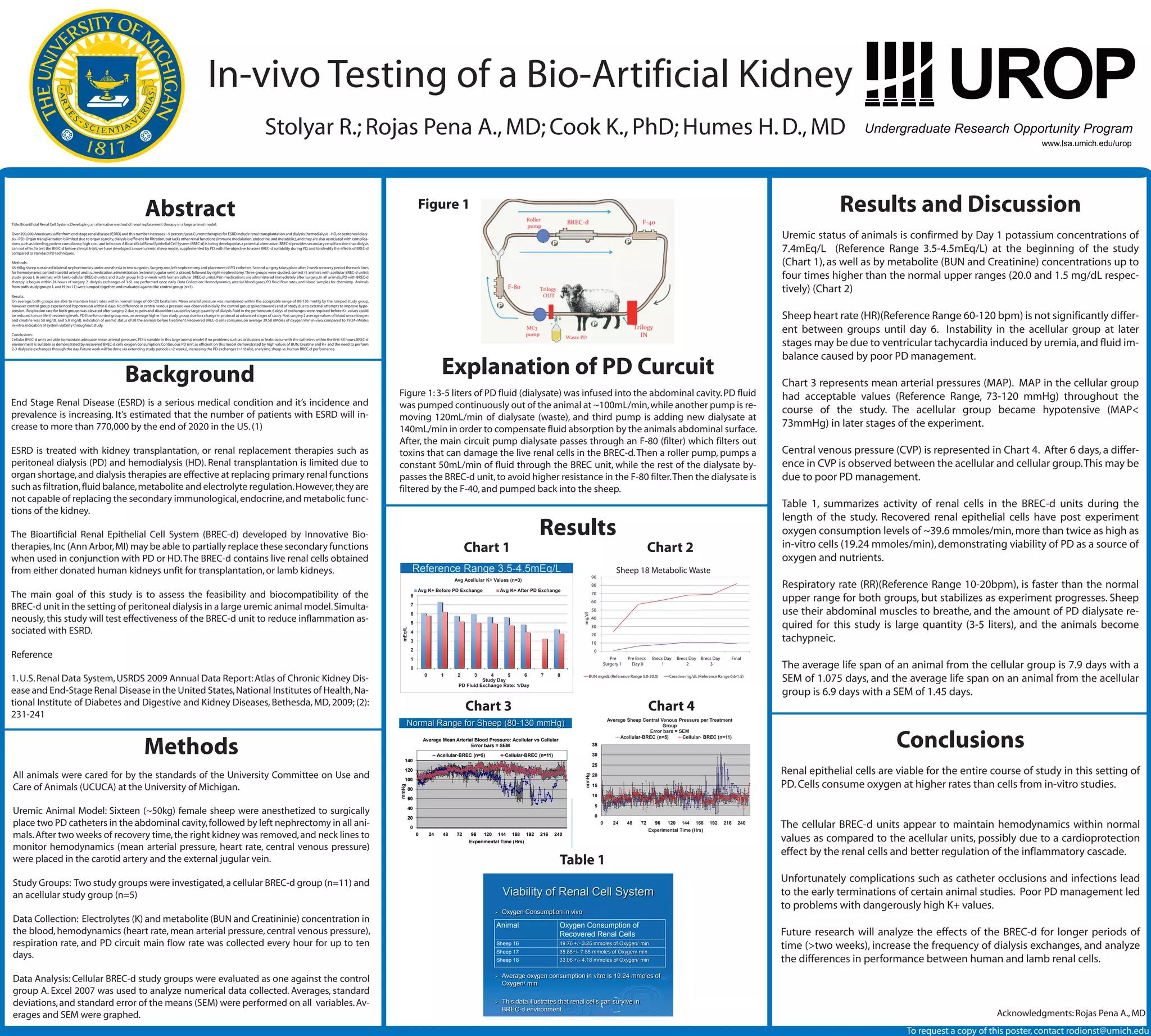 Bio-Artificial Kidney | PDF
