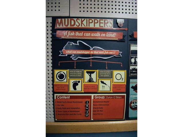ENBE infographic Pop-out Poster | PPTX