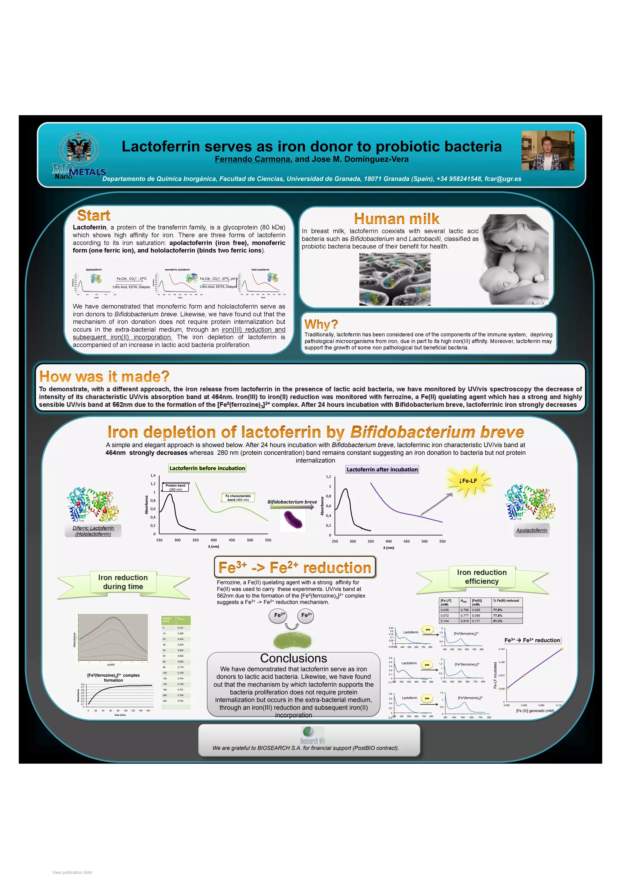 Lactoferrin serves as iron donor to probiotic bacteria | PDF