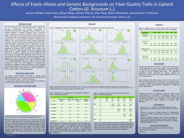 Effects of exotic alleles and genetic backgrounds on fiber quality ...
