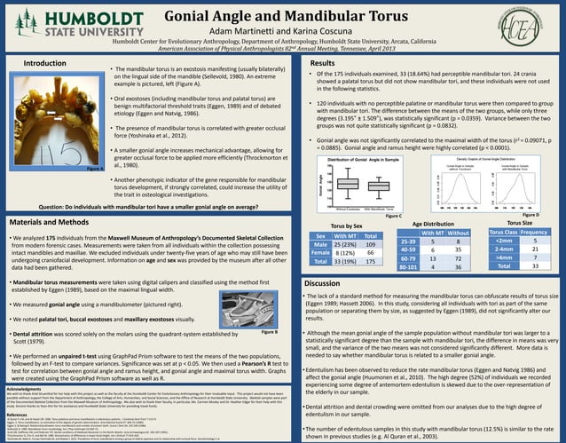 Gonial-Angle-Mandibular-Torus | PPT
