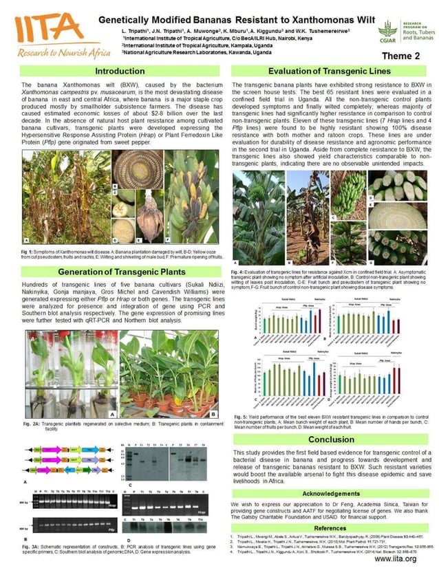Genetically Modified Crops Poster