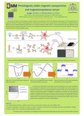 Poster 2010 IEEE Summer School | PDF | Chemistry | Science