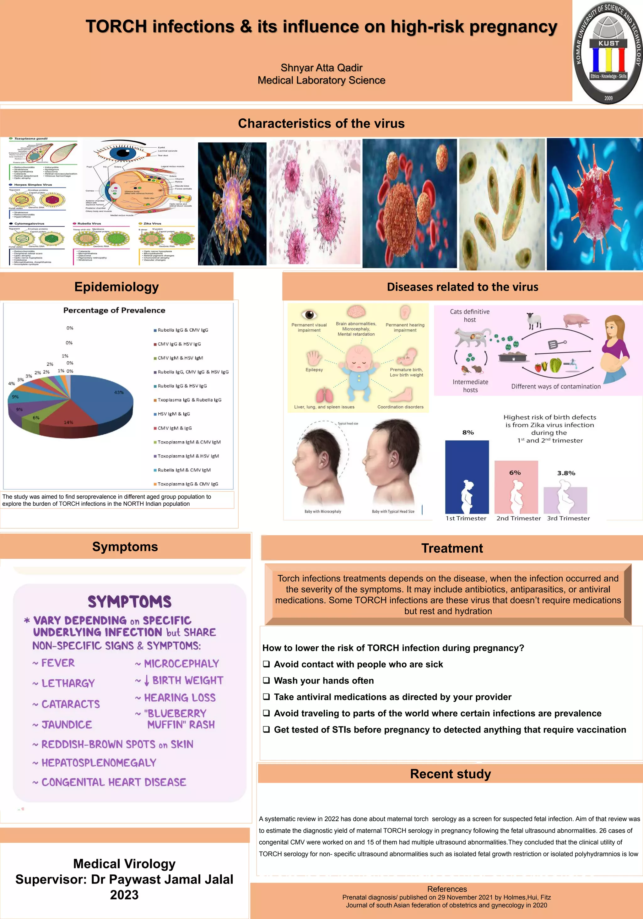 Poster-TORCH.pptx