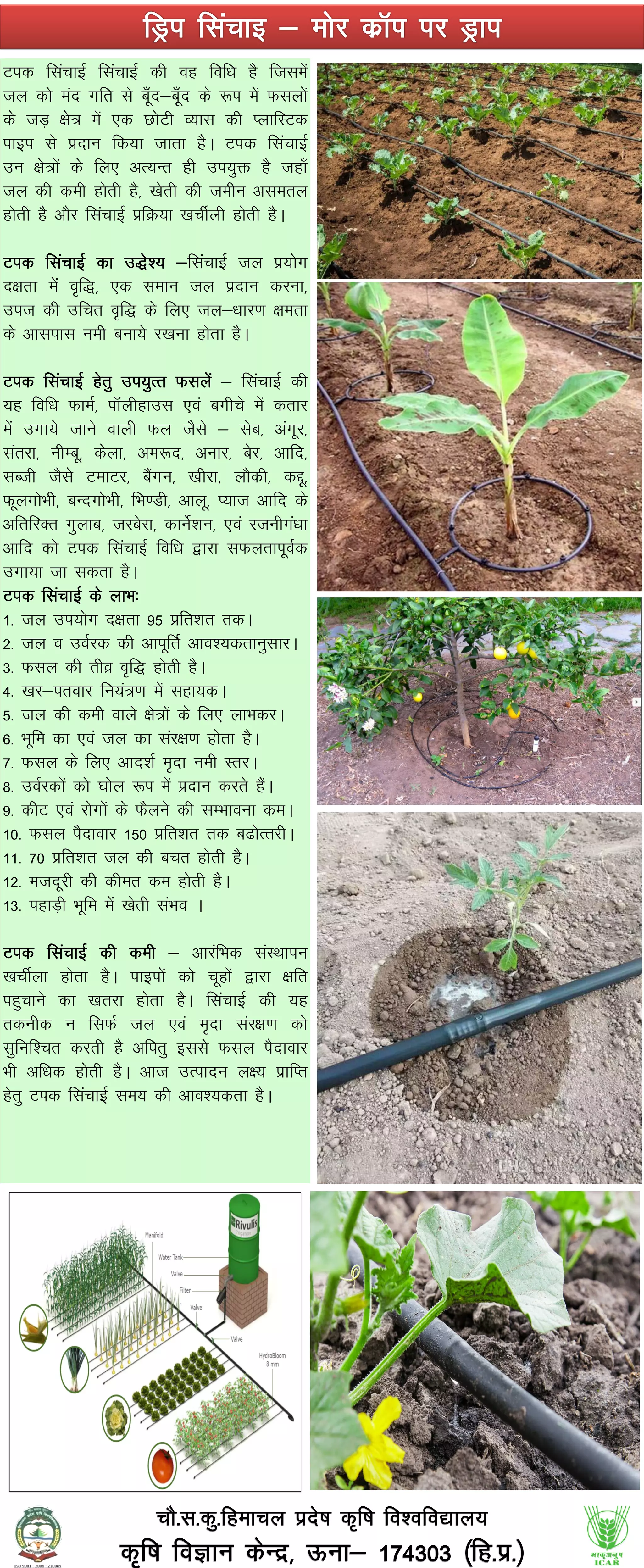 Drip Irrigation - More Crop per drop | PDF