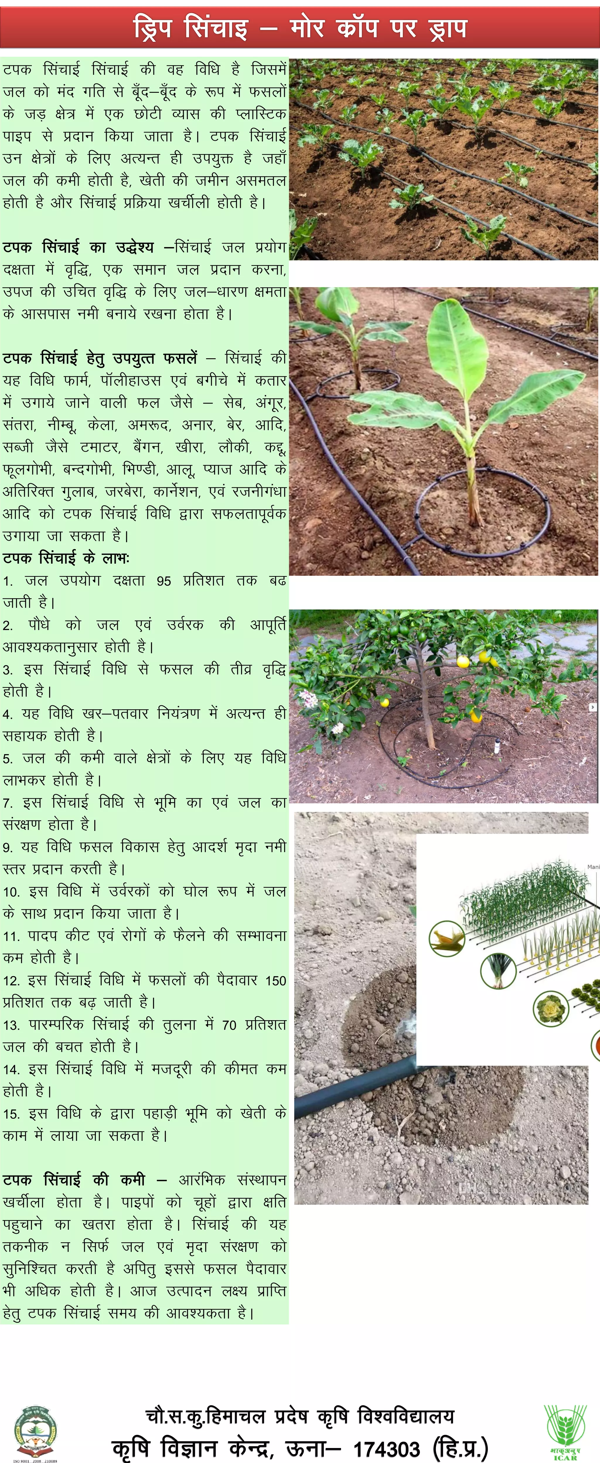 Drip Irrigation - More Crop per drop | PDF