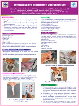 Successful Clinical Management of Snake Bite in a Dog. | PDF