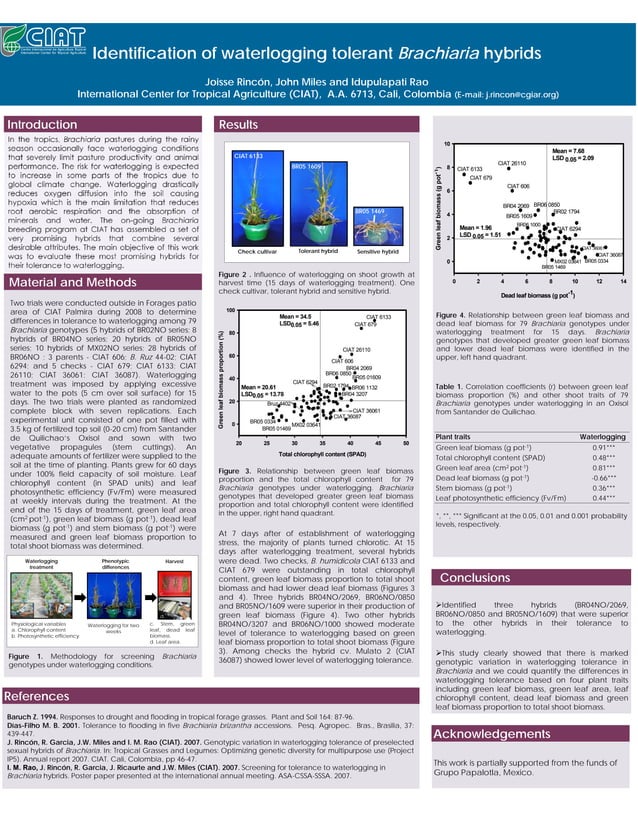 Poster59: Identification of waterlogging tolerant Brachiaria hybrids | PDF