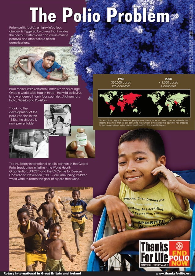 The Polio Problem - Poster | PDF